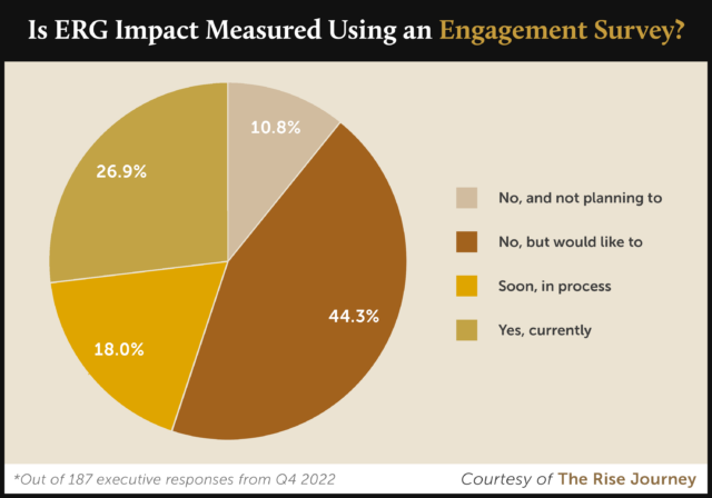 Guide for Building Employee Resource Groups (ERGs) - Senior Executive