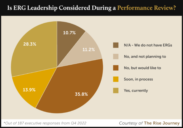 Guide for Building Employee Resource Groups (ERGs) - Senior Executive